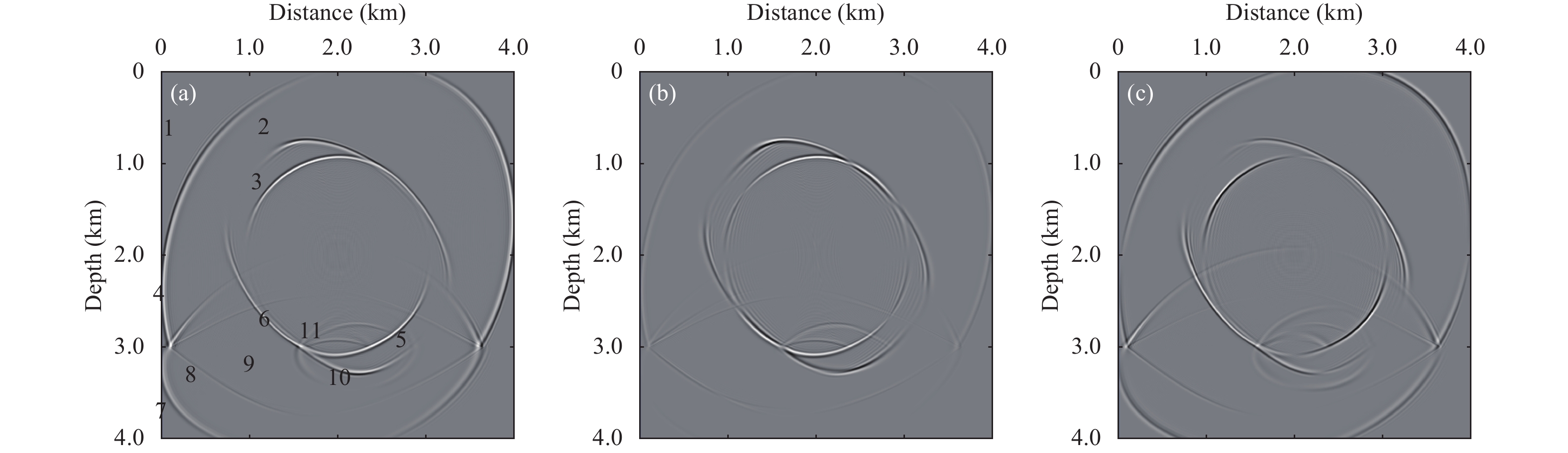 Numerical simulation of seismic wave in elastic and viscoelastic TTI media